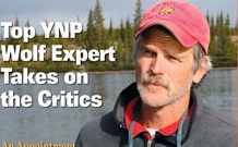 Doug Smith, Yellowstone Wolf Lead Project Biologist: Laying out the ...