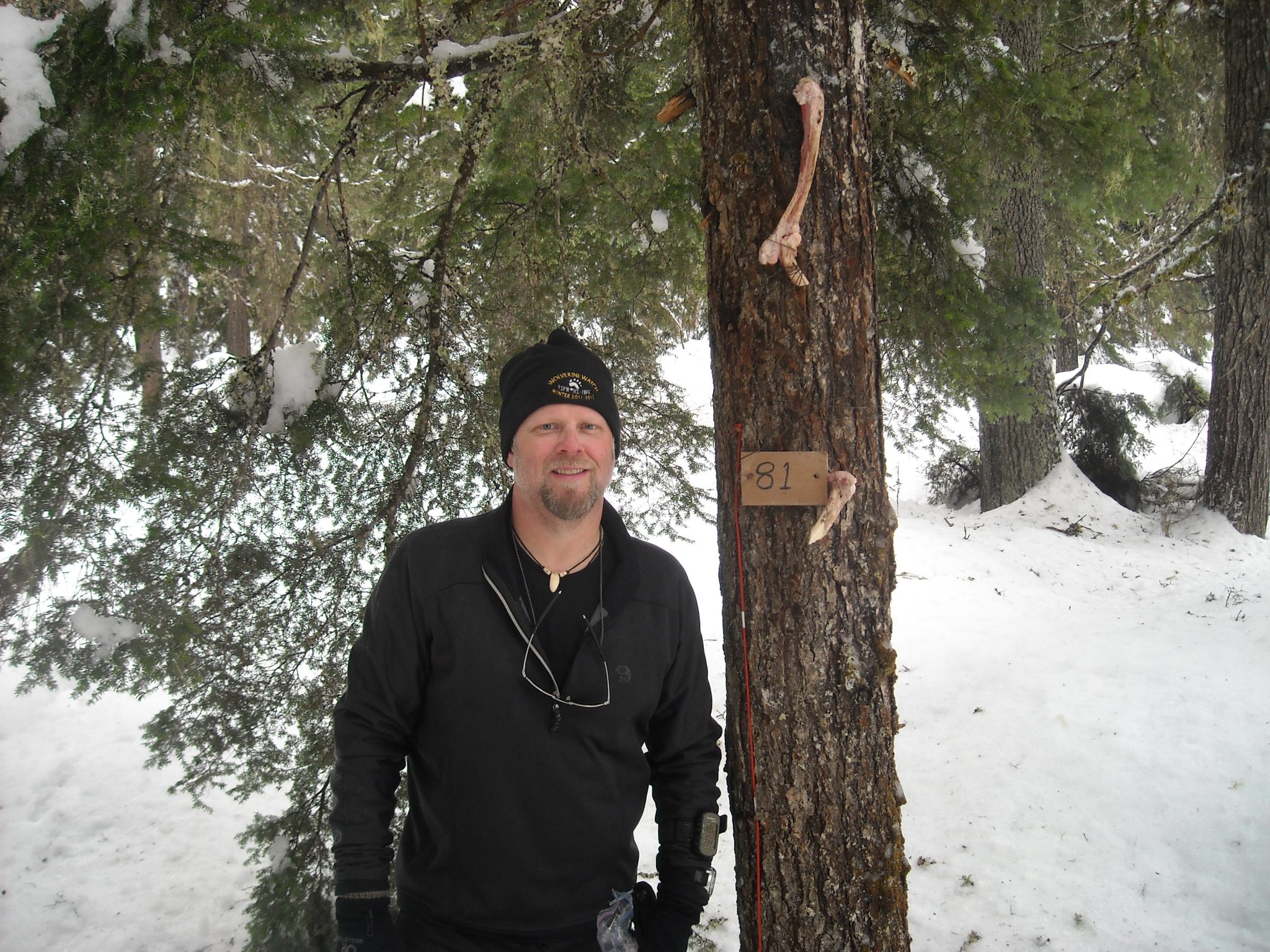 WWO Team - Western Wildlife Outreach